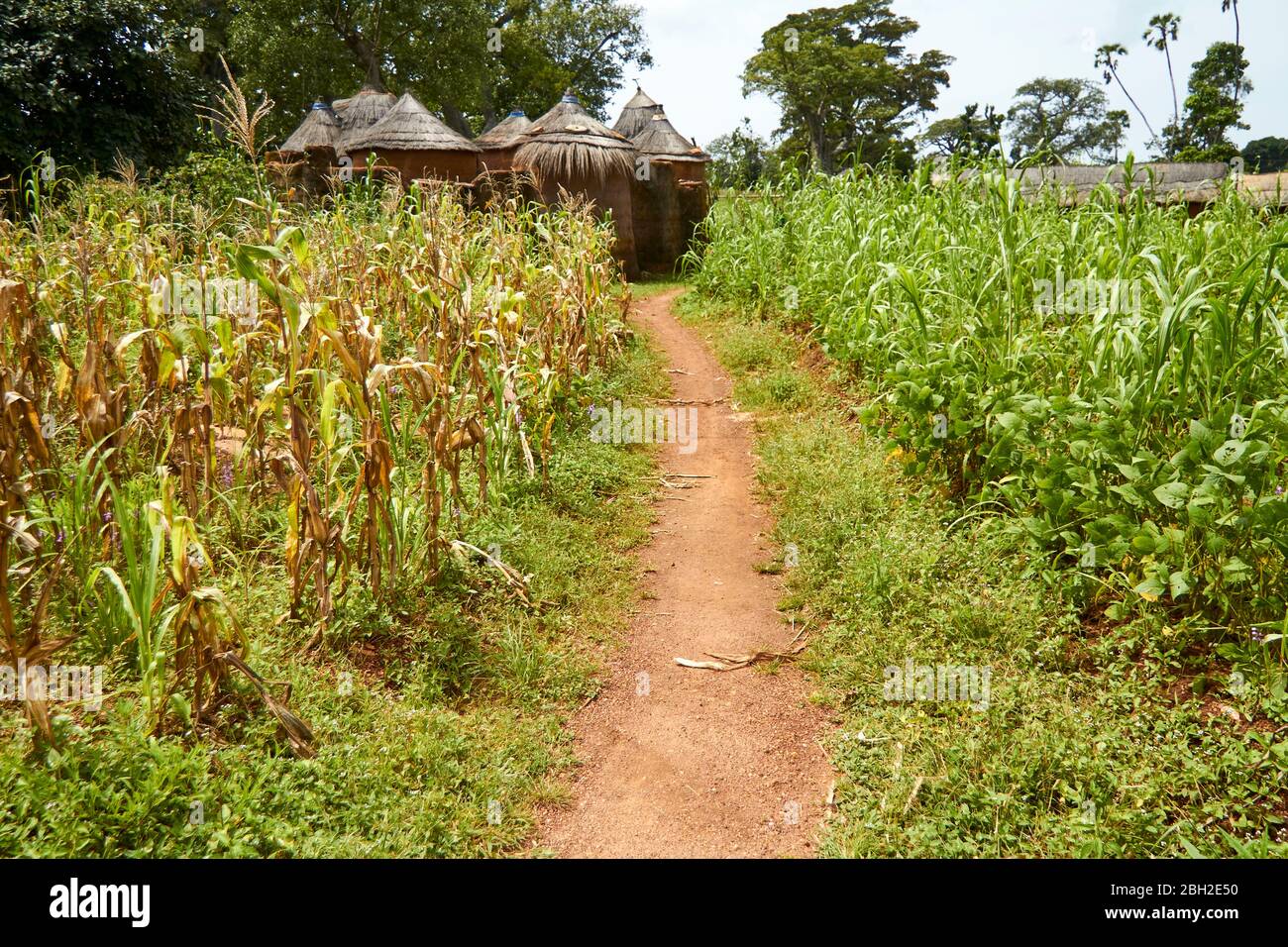 African huts hi-res stock photography and images - Alamy