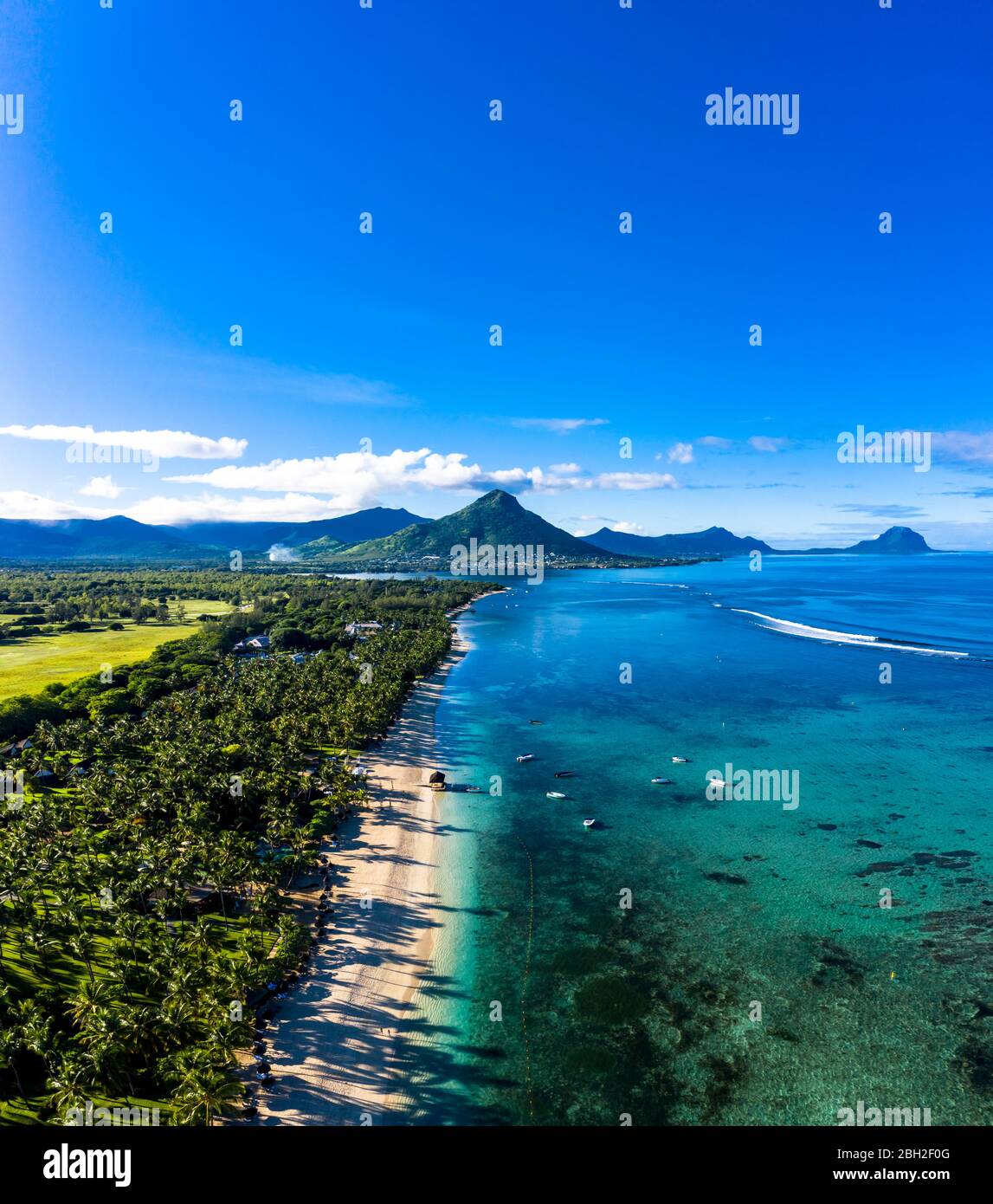 Mauritius, Black River, Flic-en-Flac, Aerial view of palm trees along ...