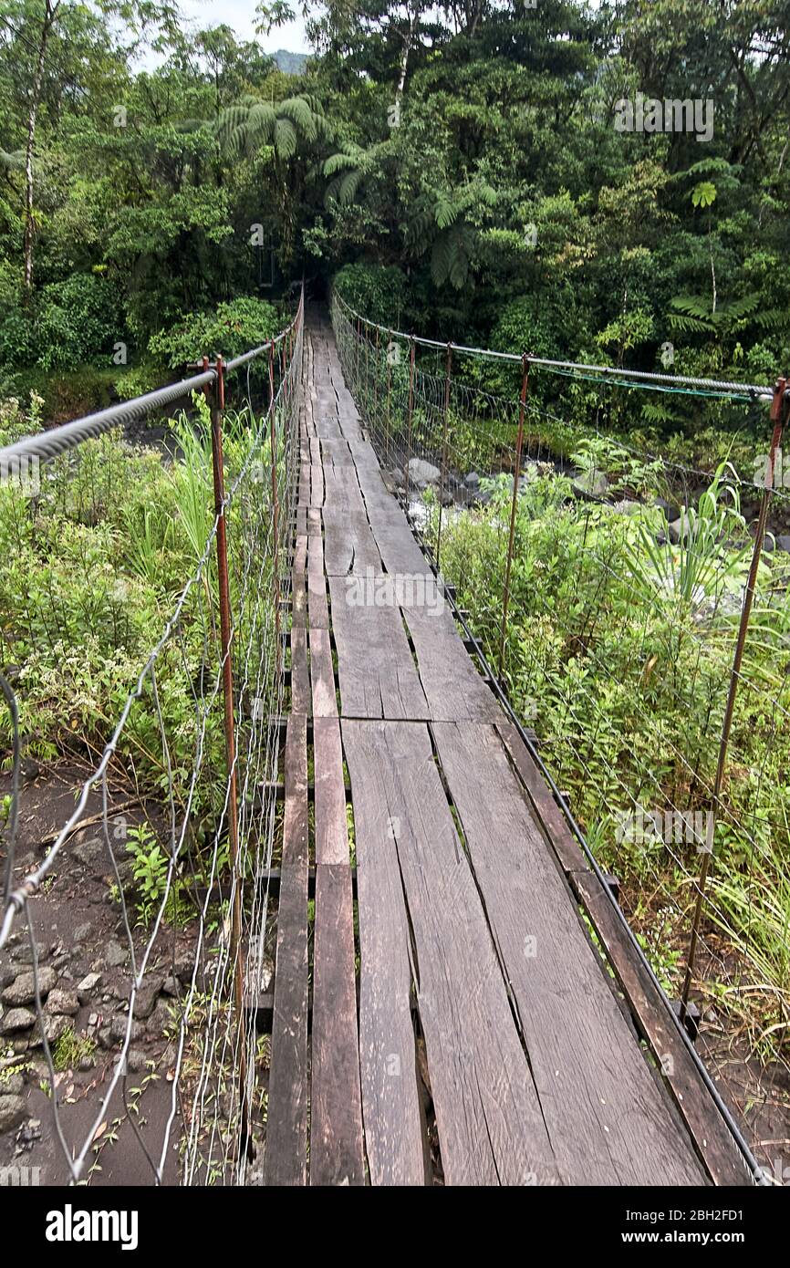Costa Rica, Puntarenas, Monteverde, Simple suspension bridge in Arenal ...