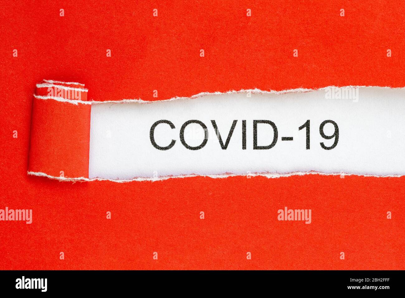 Top view of red torn paper and the text COVID-19 on a white background ...