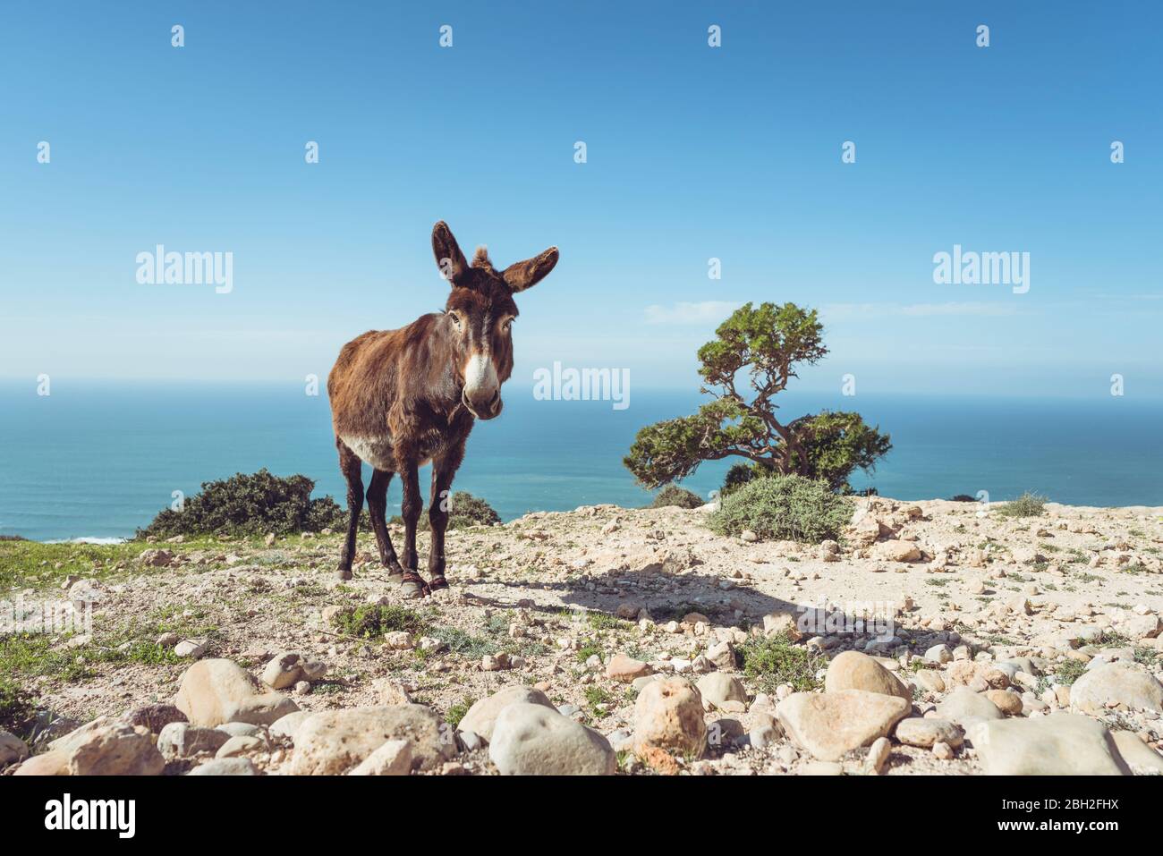 Cliff shadow on water hi-res stock photography and images - Alamy