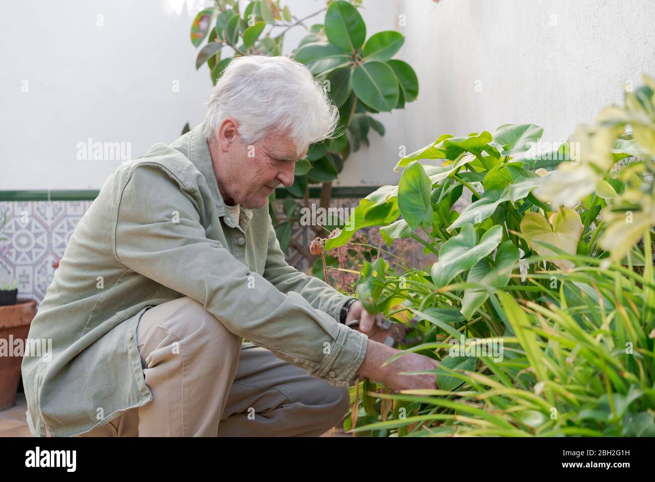 Caring man hi-res stock photography and images - Alamy