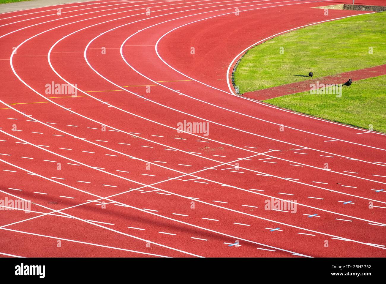 The Parliament Hill Fields Athletics Track in London, all-weather ...