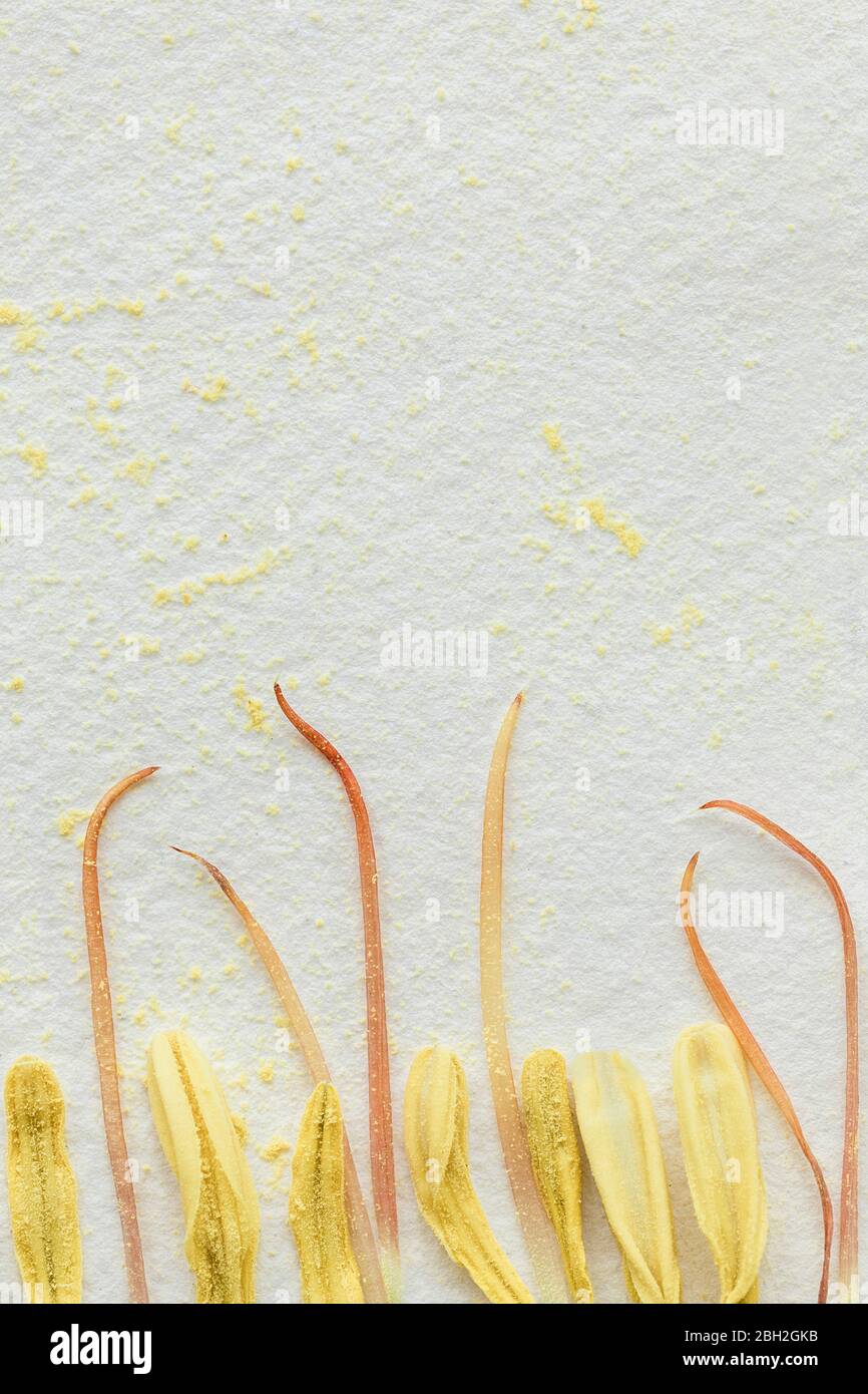 Fragmented hi-res stock photography and images - Alamy