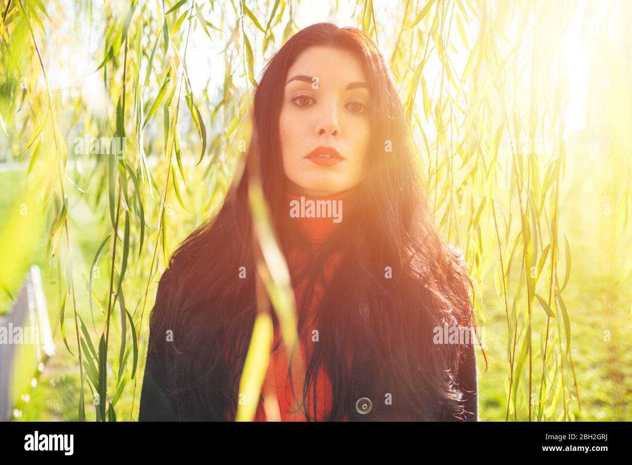 Beautiful woman under a tree Stock Photo - Alamy