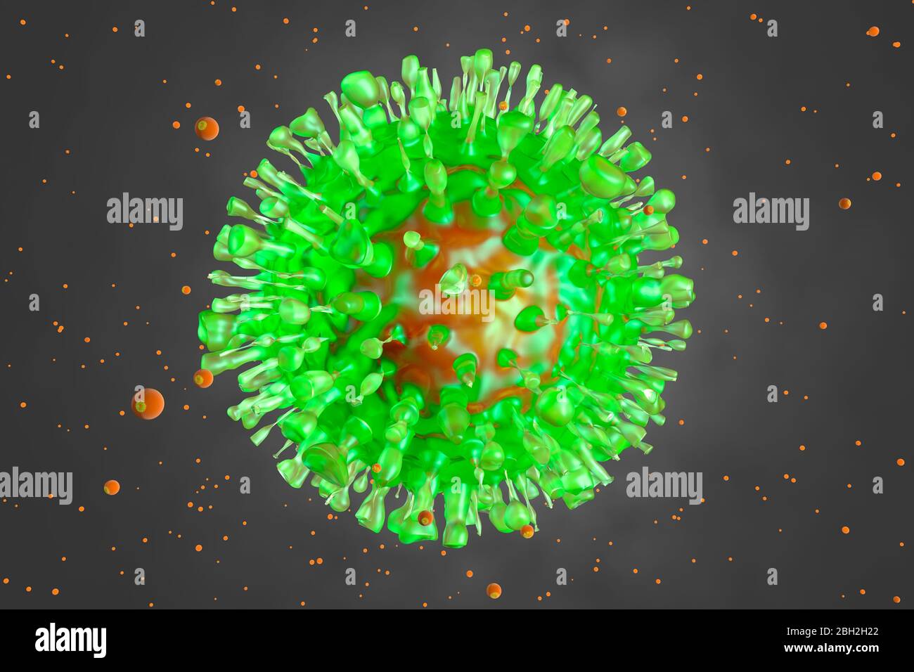 Single cell biology hi-res stock photography and images - Alamy