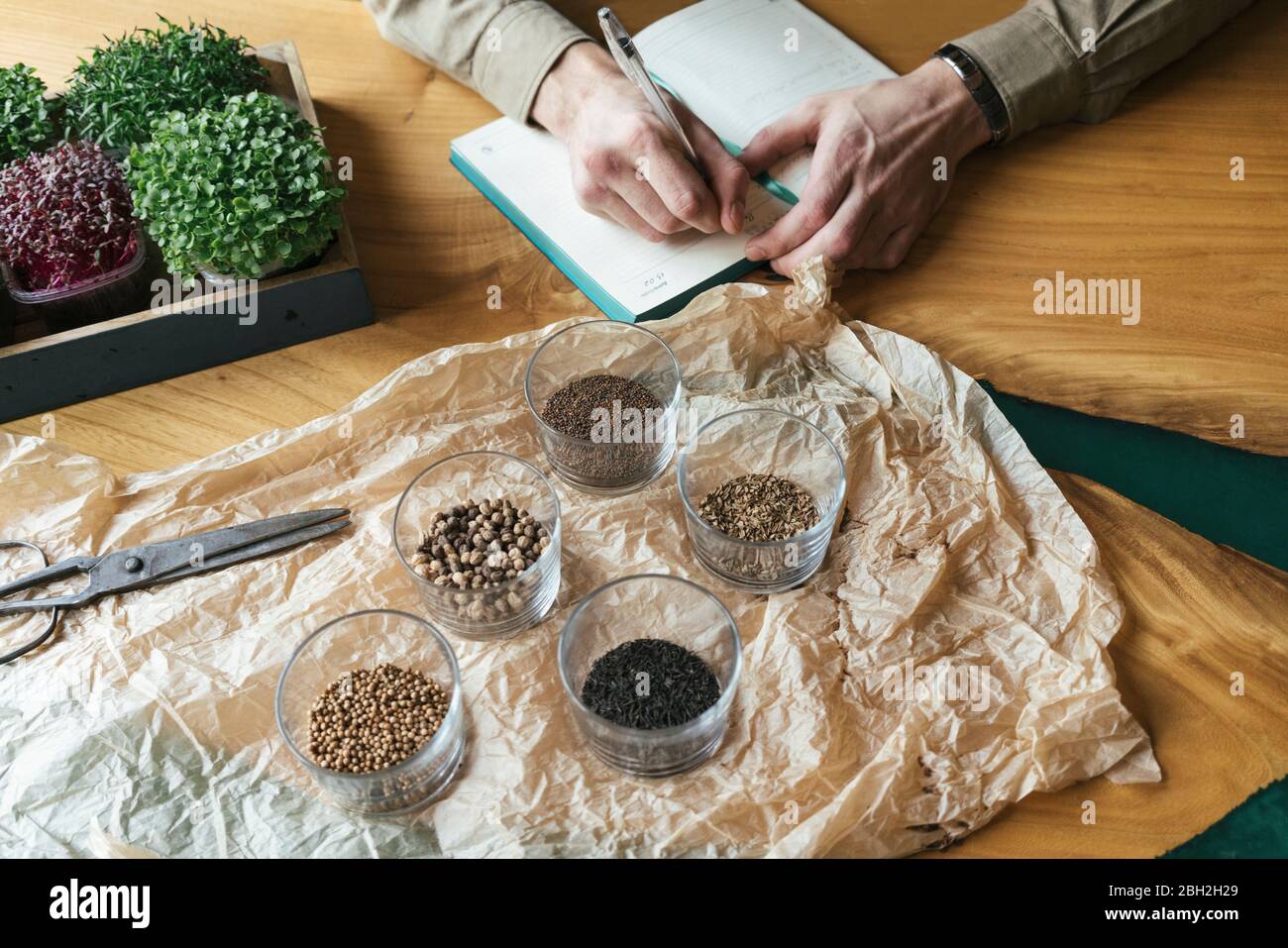 Planting Notes High Resolution Stock Photography and Images - Alamy