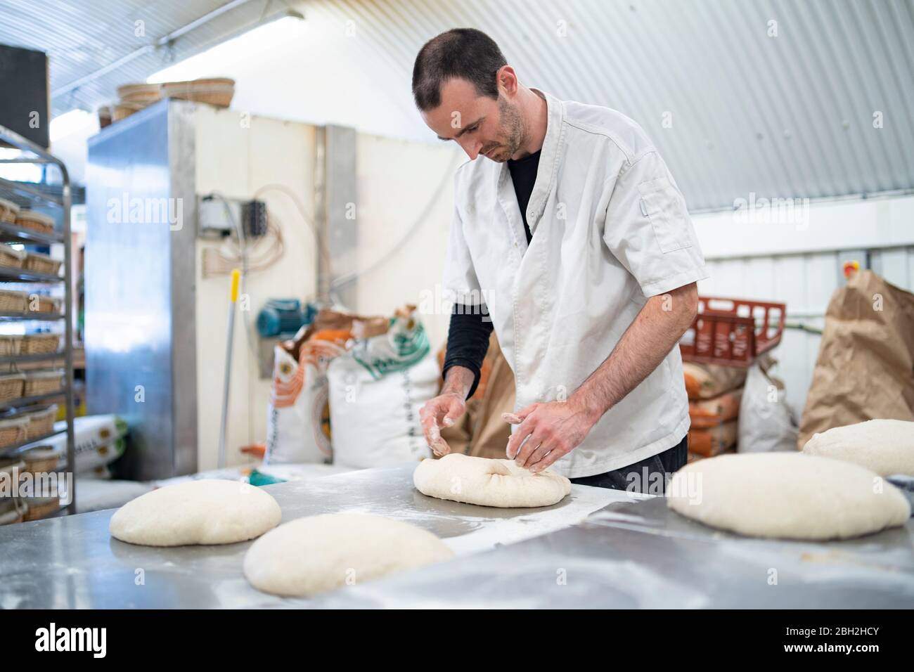 Baker baking loaves of bread hi-res stock photography and images - Alamy