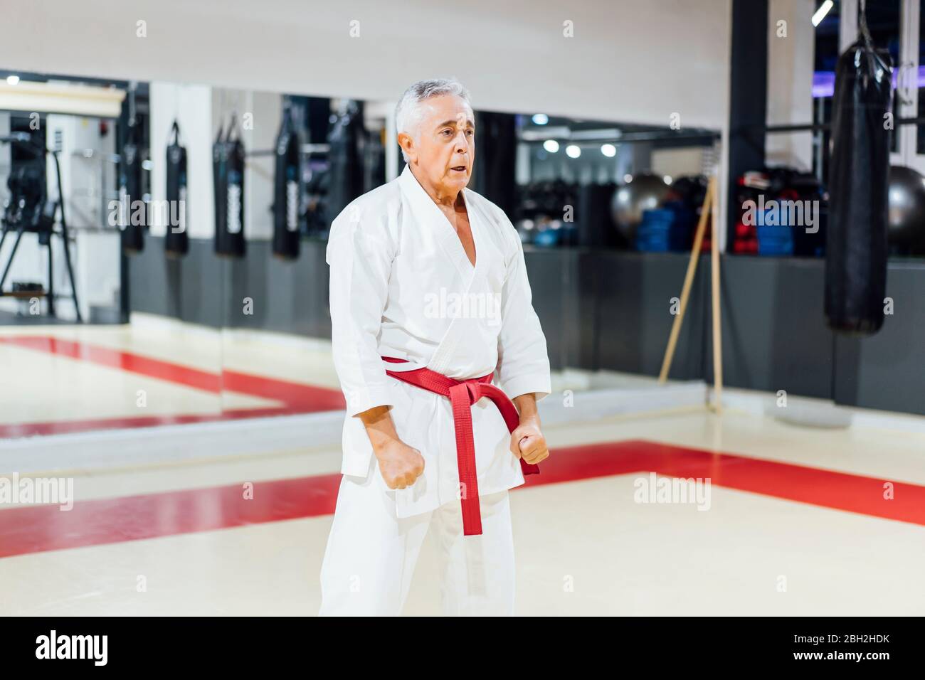 Karate fighter in gym hi-res stock photography and images - Alamy