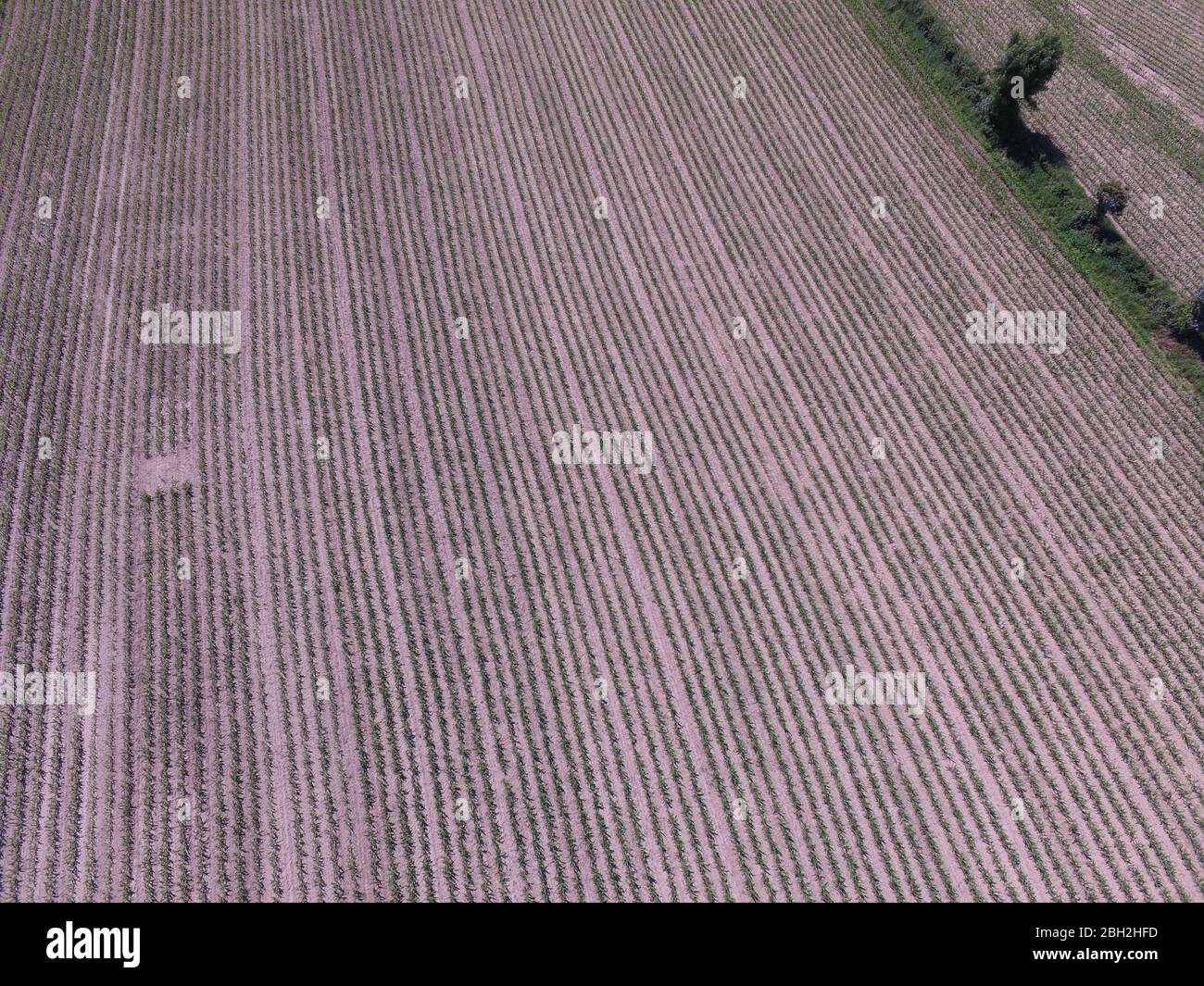 Tillage soil pattern hi-res stock photography and images - Alamy