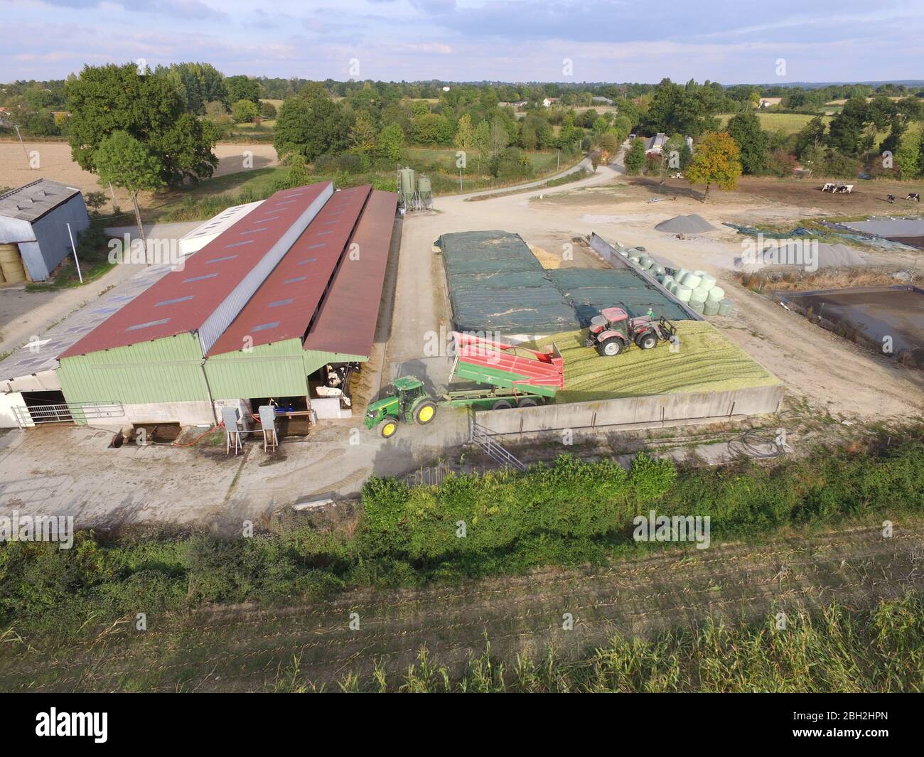 Dairy Farming From Above Stock Photo - Alamy