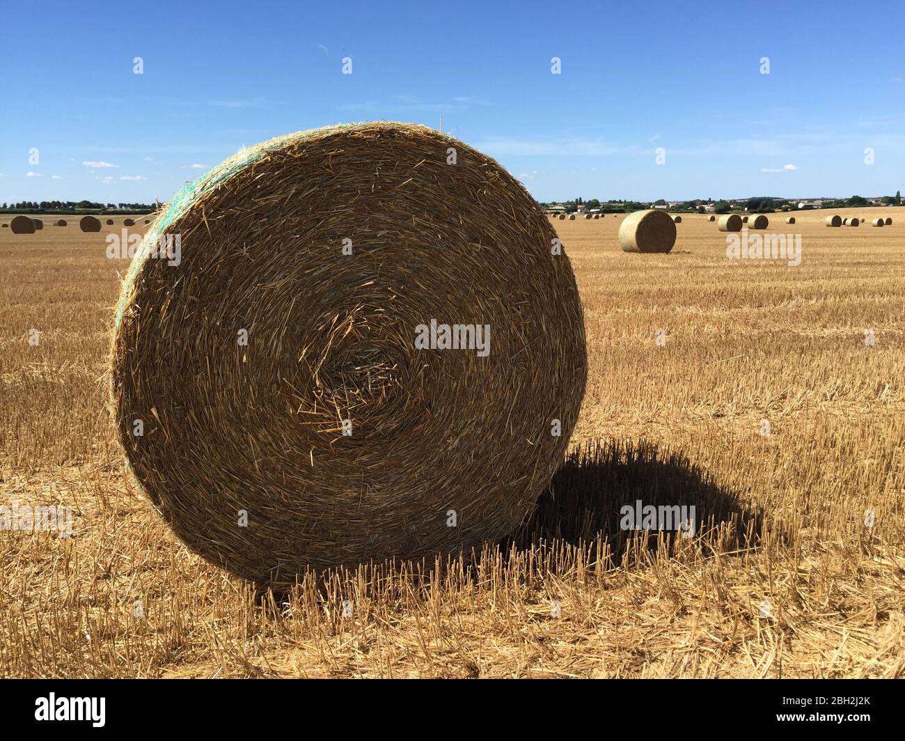 Hay Bails In Sunshine Stock Photo - Alamy