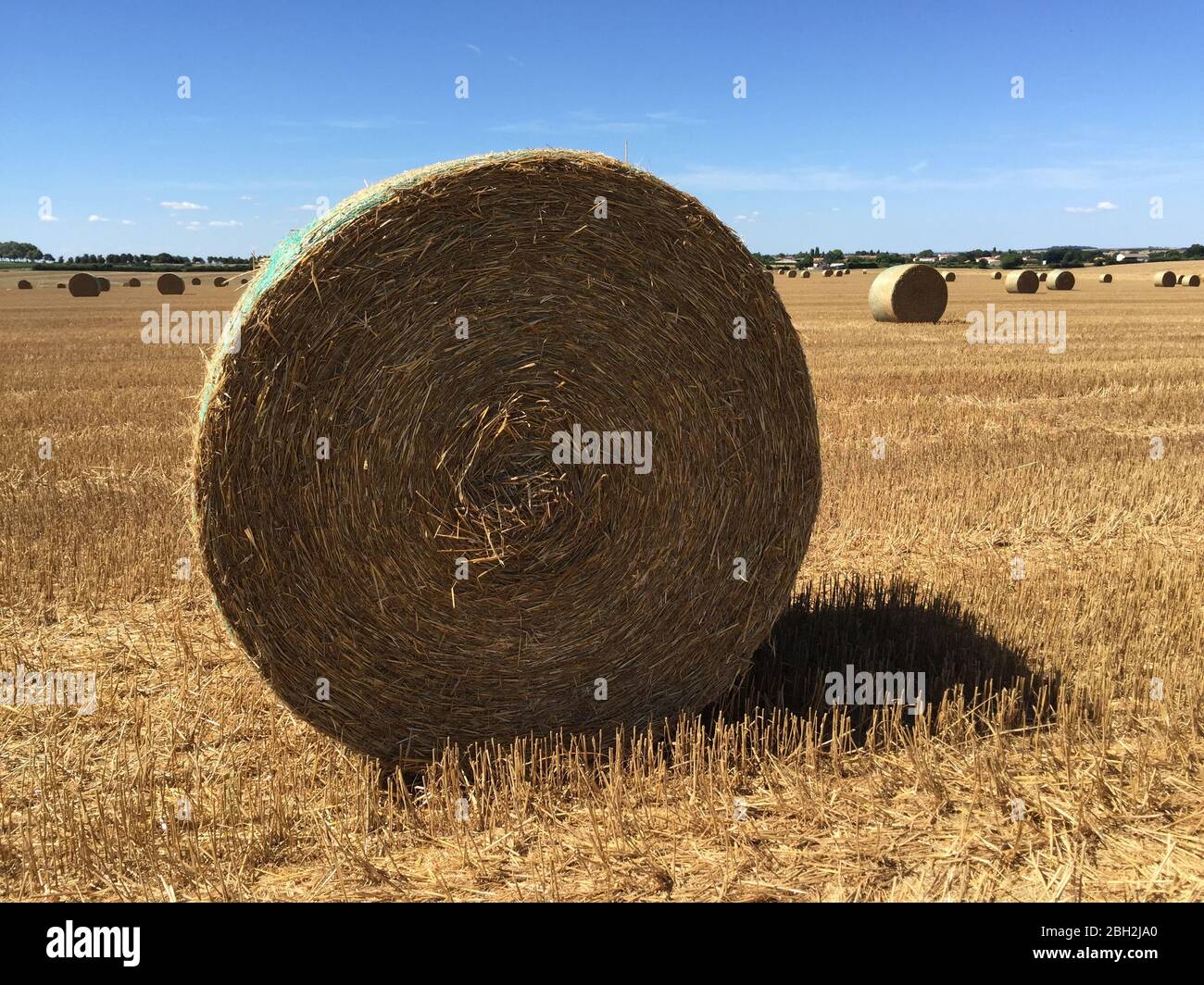 Hay Bails In Sunshine Stock Photo - Alamy
