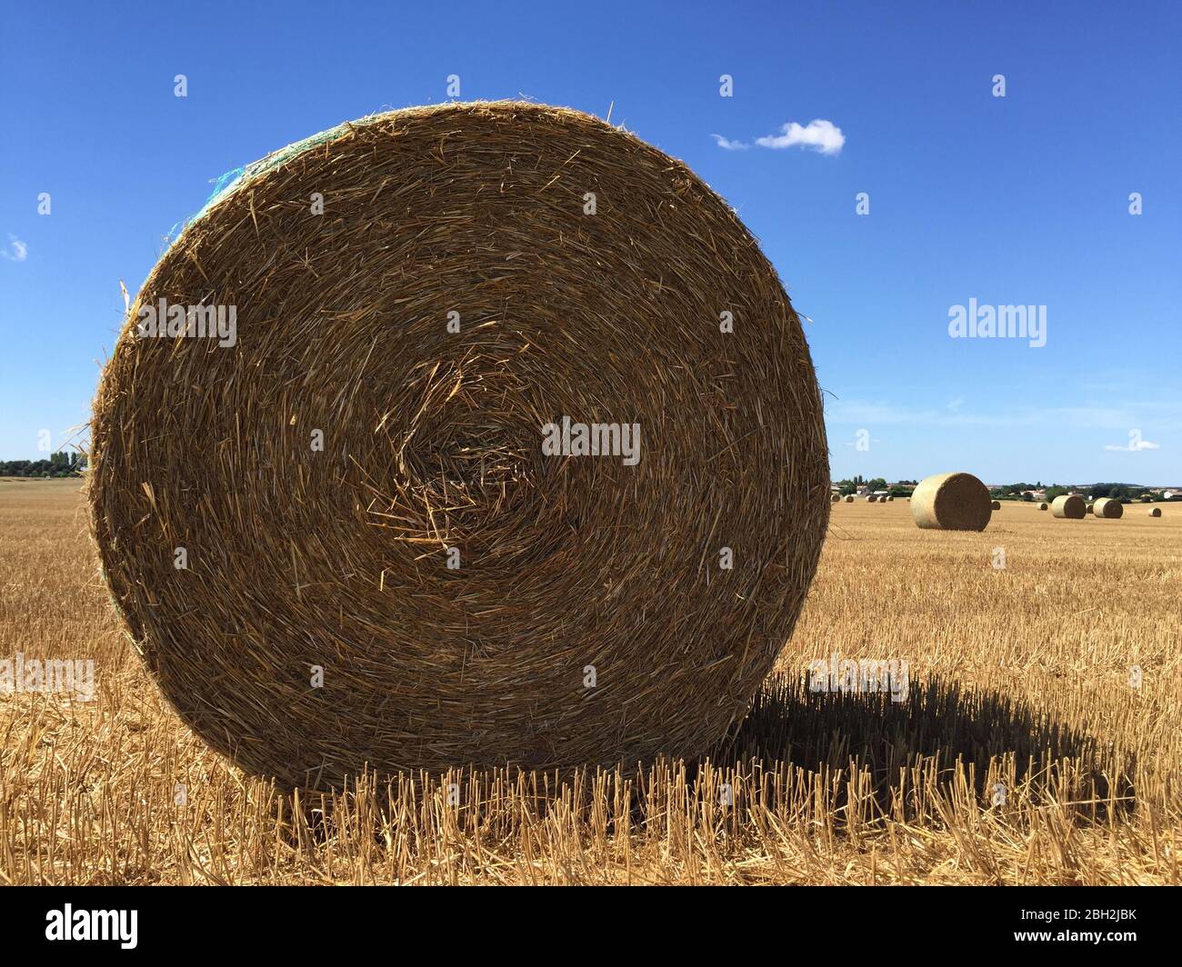Graham hay hi-res stock photography and images - Alamy