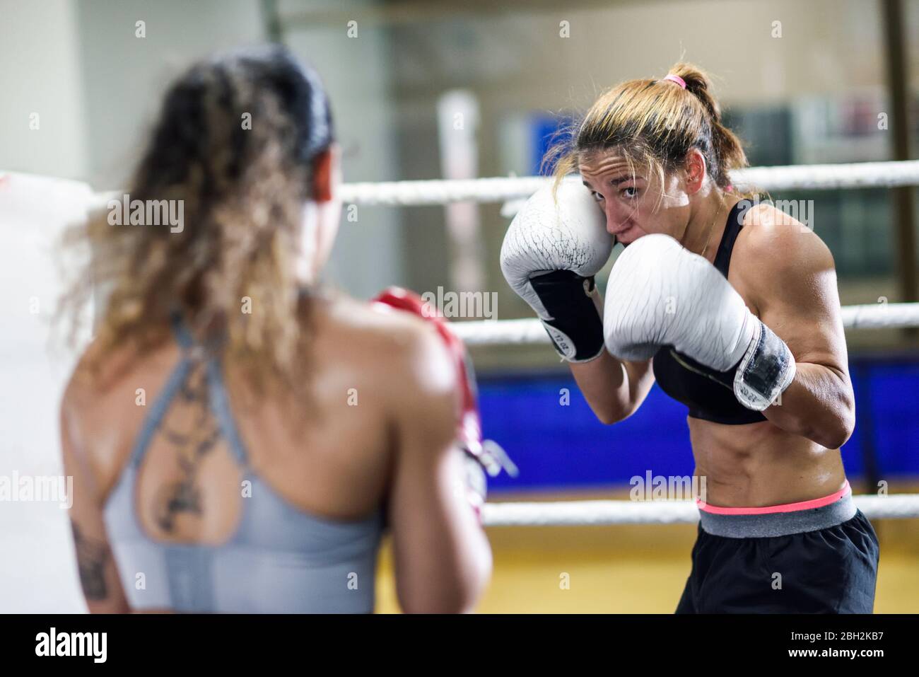 Female boxers sparring in the ring of a boxing club Stock Photo - Alamy