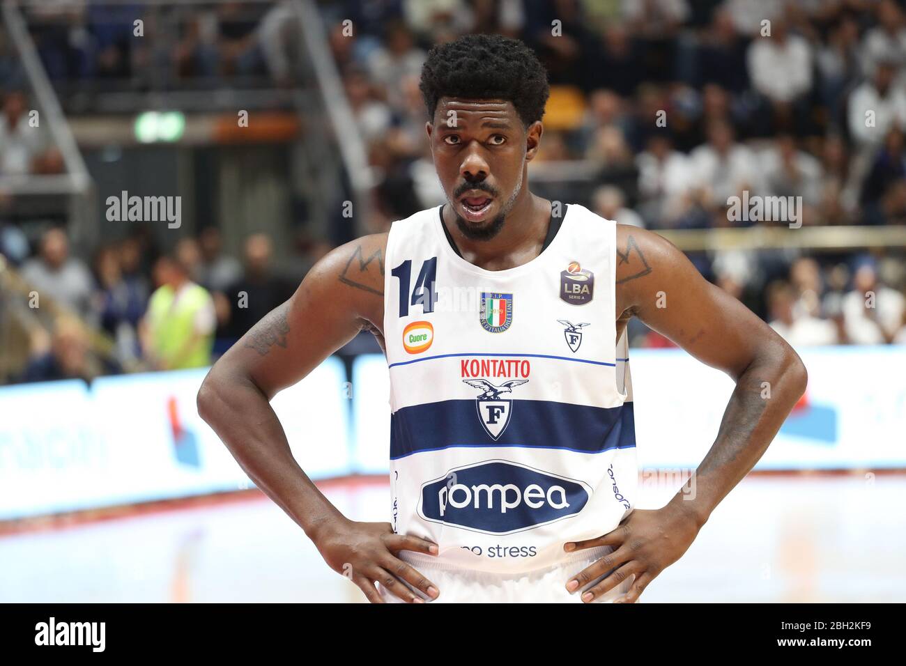 Henry sims fortitudo pompea bologna hi-res stock photography and images ...
