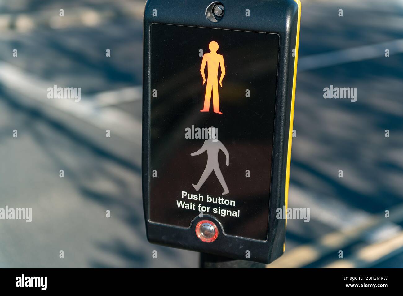Puffin Crossing Hi res Stock Photography And Images Alamy Puffin Crossing Hi res Stock Photography And Images Alamy