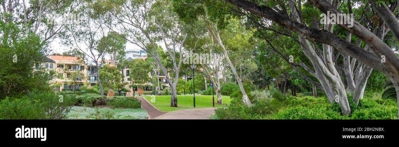 Trees lining pathway hi-res stock photography and images - Alamy