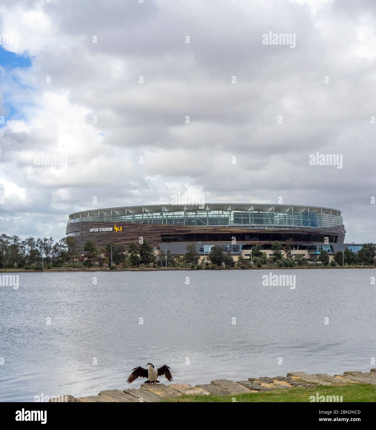 Australian shag hi-res stock photography and images - Alamy