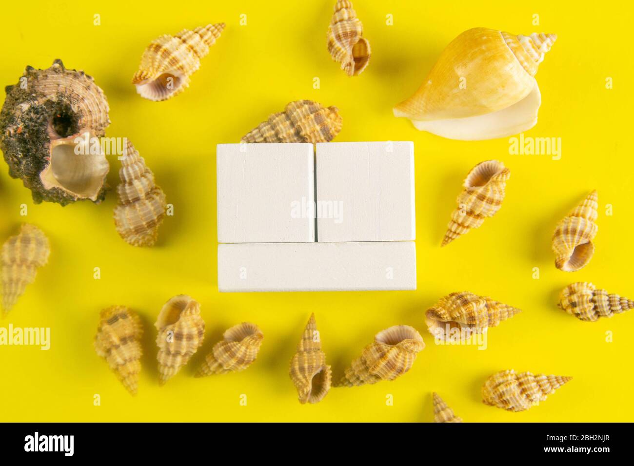 Build up of shells hi-res stock photography and images - Alamy