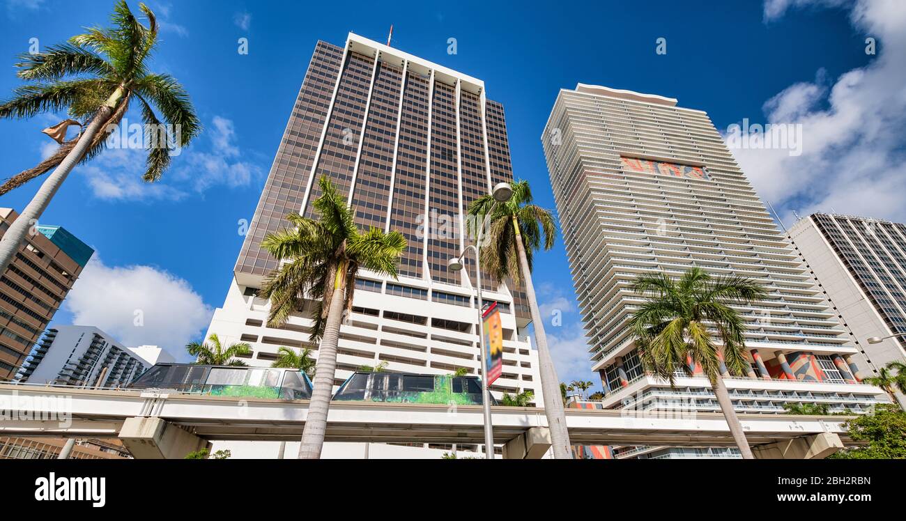 Buildings and monorail of Downtown Miami with palms on a sunny day. Sky ...