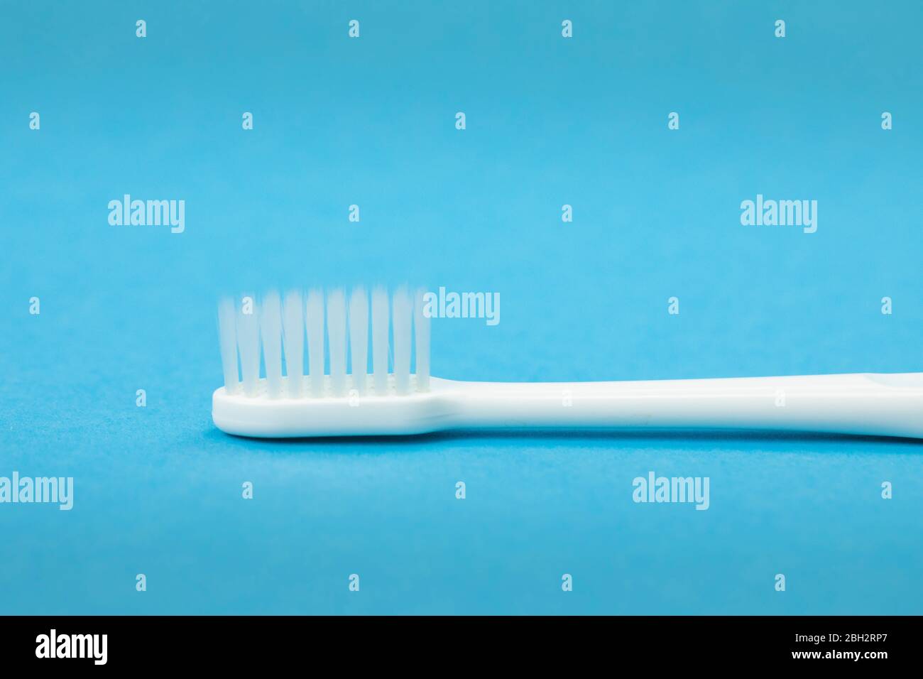 Single white toothbrush close up isolated on blue background horizontal ...