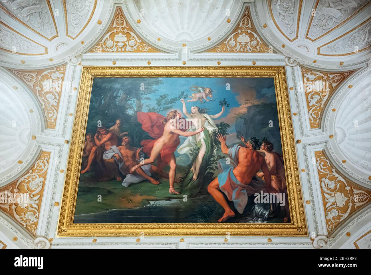 Paint on the ceiling of apollo and daphne room hi-res stock photography ...