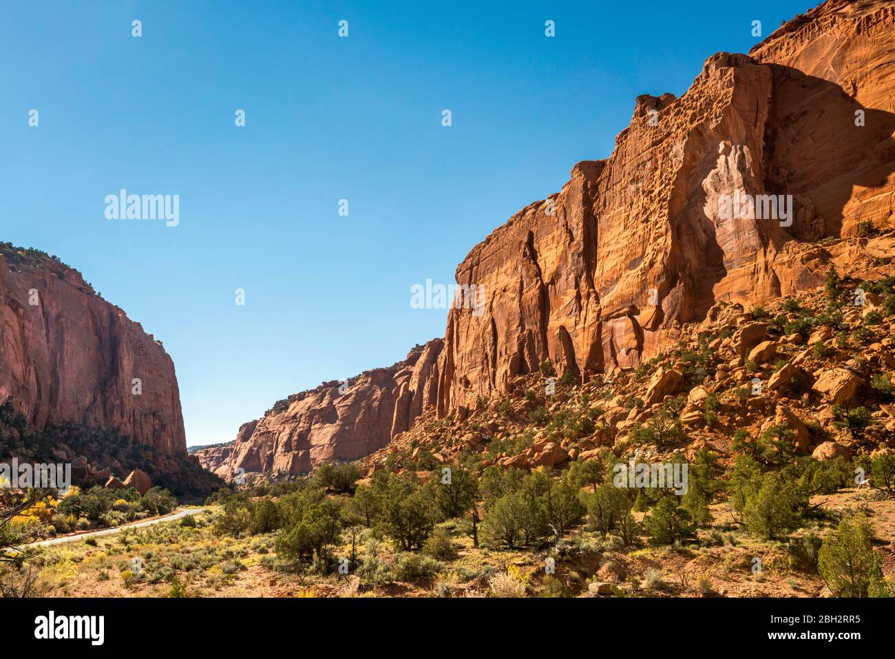 Wingate Sandstone rocks in Long Canyon, Burr Trail Road, Grand ...