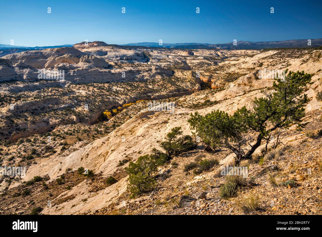The Hogback slickrock area, view from Highway 12 at New Home Bench over ...