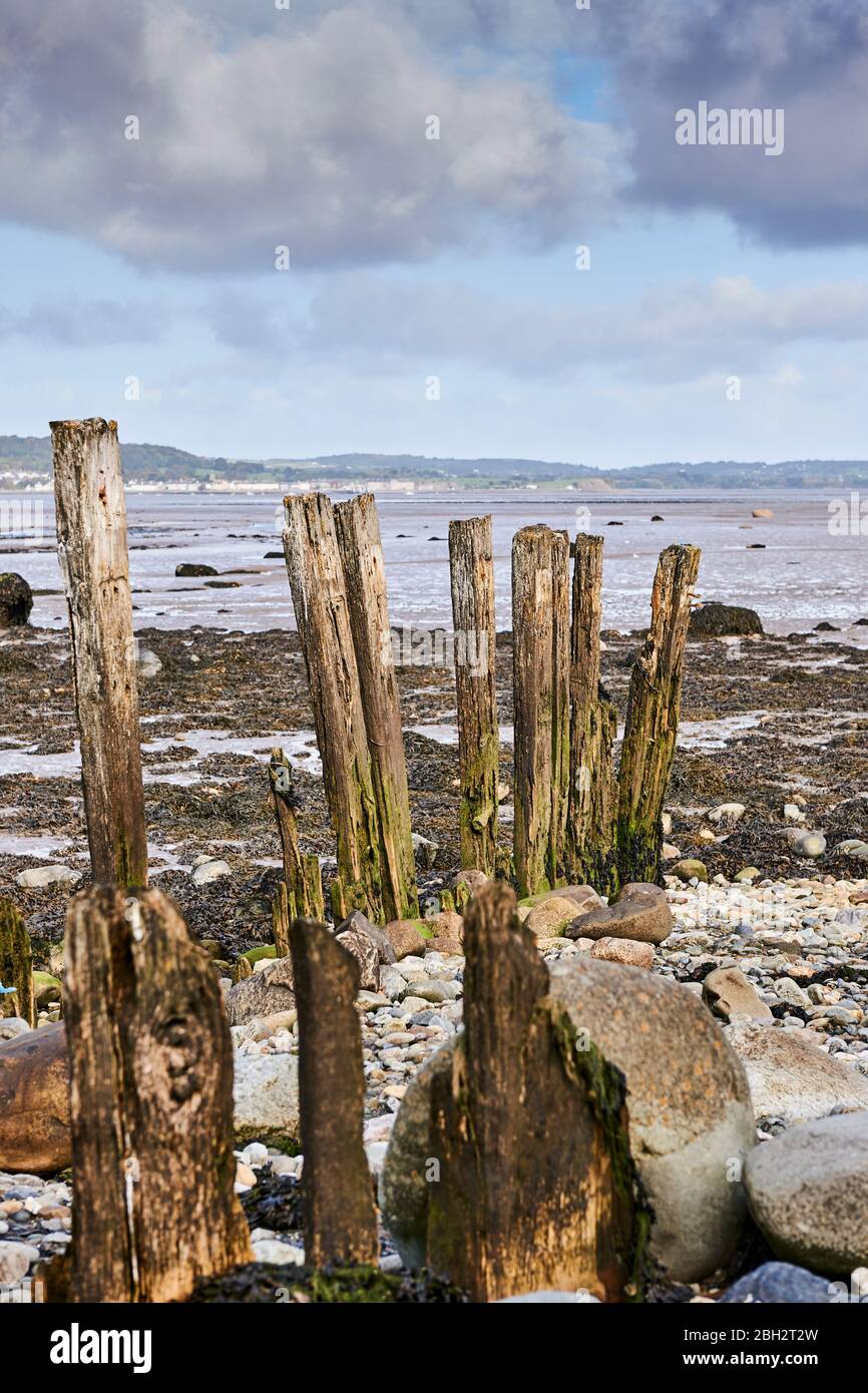 Coastal groynes hi-res stock photography and images - Alamy