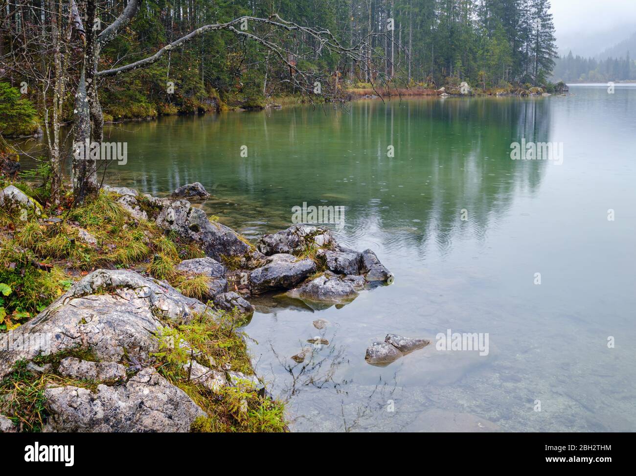 Drizzly rain on mountain alpine autumn lake Hintersee, Berchtesgaden ...