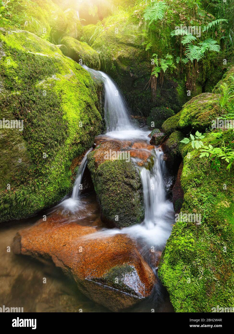 Stream flowing spring water hi-res stock photography and images - Alamy