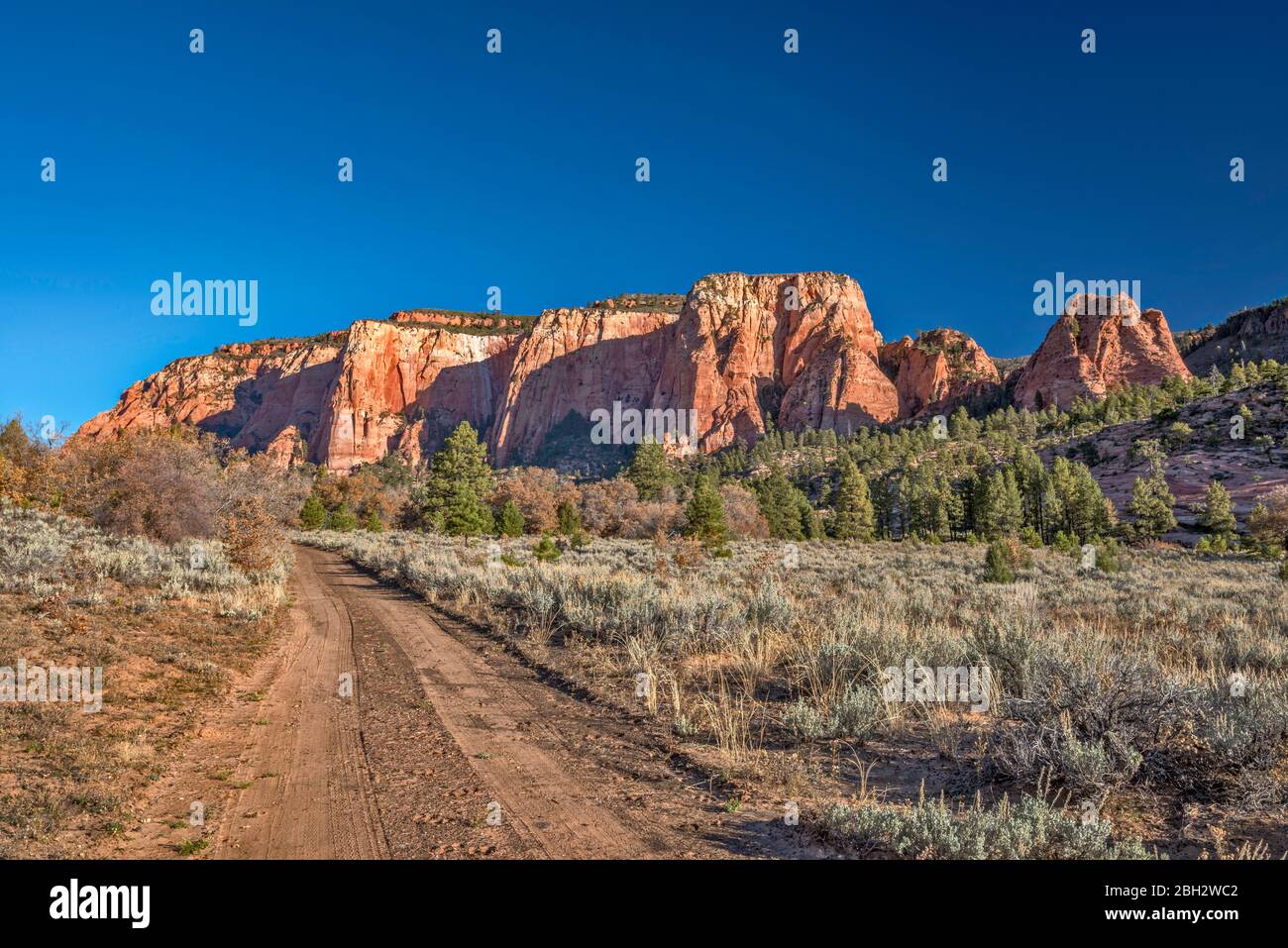 Dirt track to Jobs Head massif, Upper Kolob Plateau, Kolob Terrace Road ...