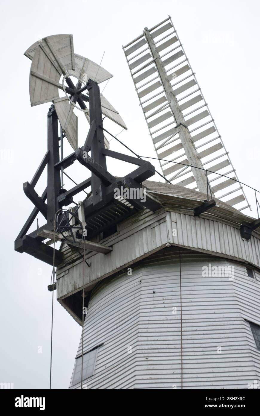 James nokes hi-res stock photography and images - Alamy