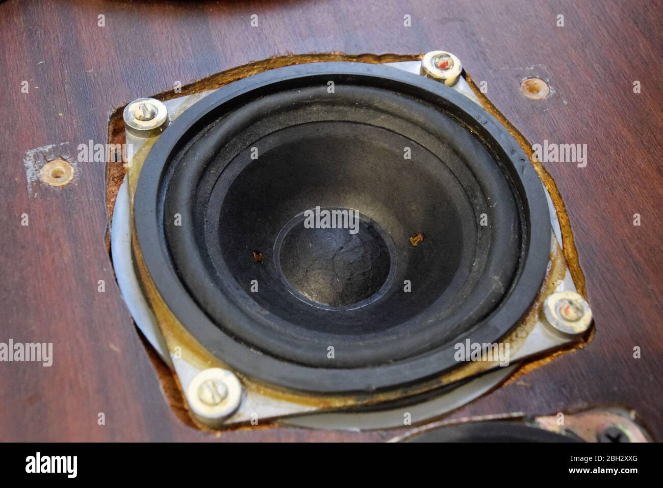 Mid-range speaker diffuser painting with ink stamp. Painting the ...
