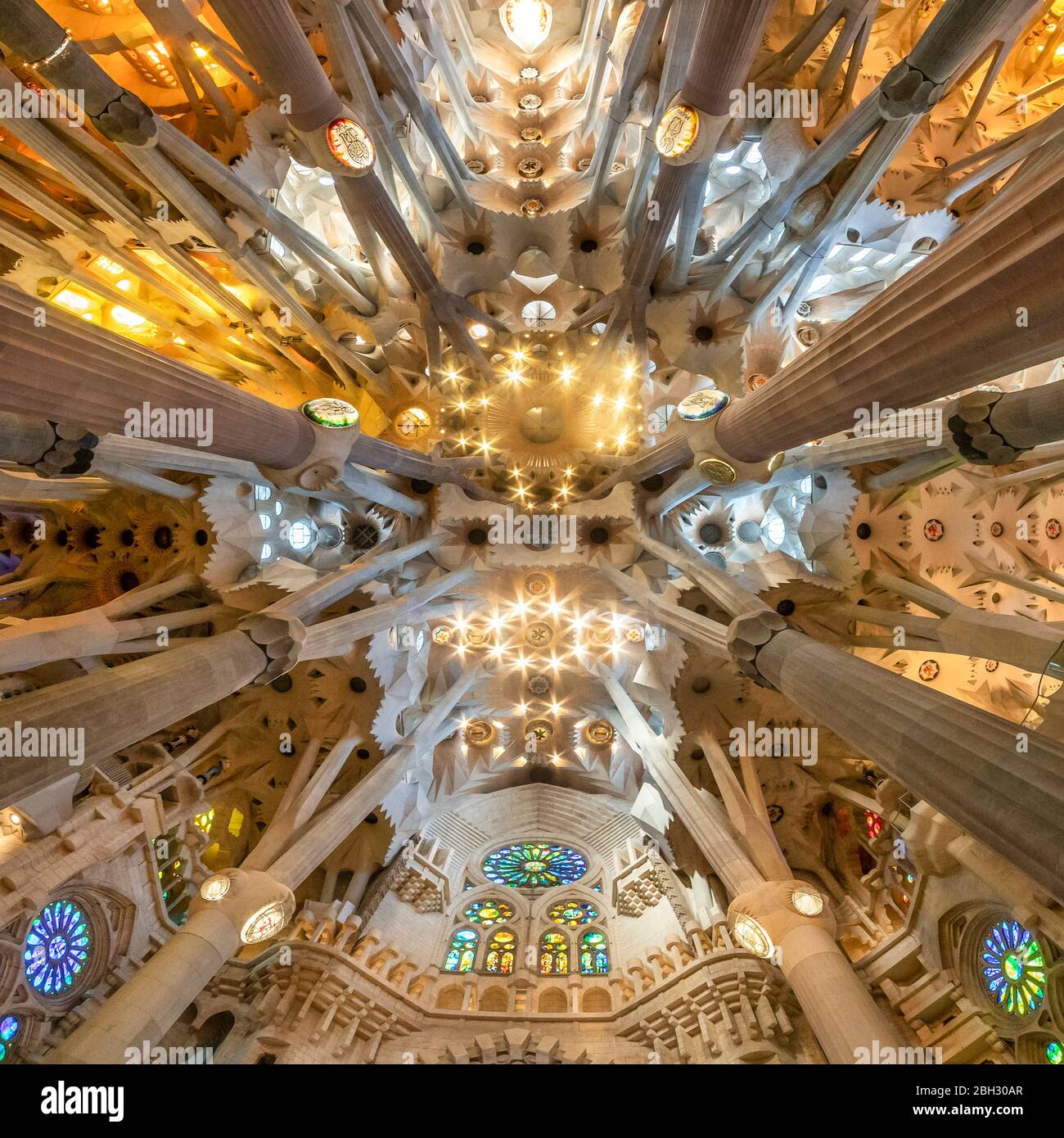 Ceiling in the Sagrada Familia Cathedral by Antoni Gaudi, Barcelona ...