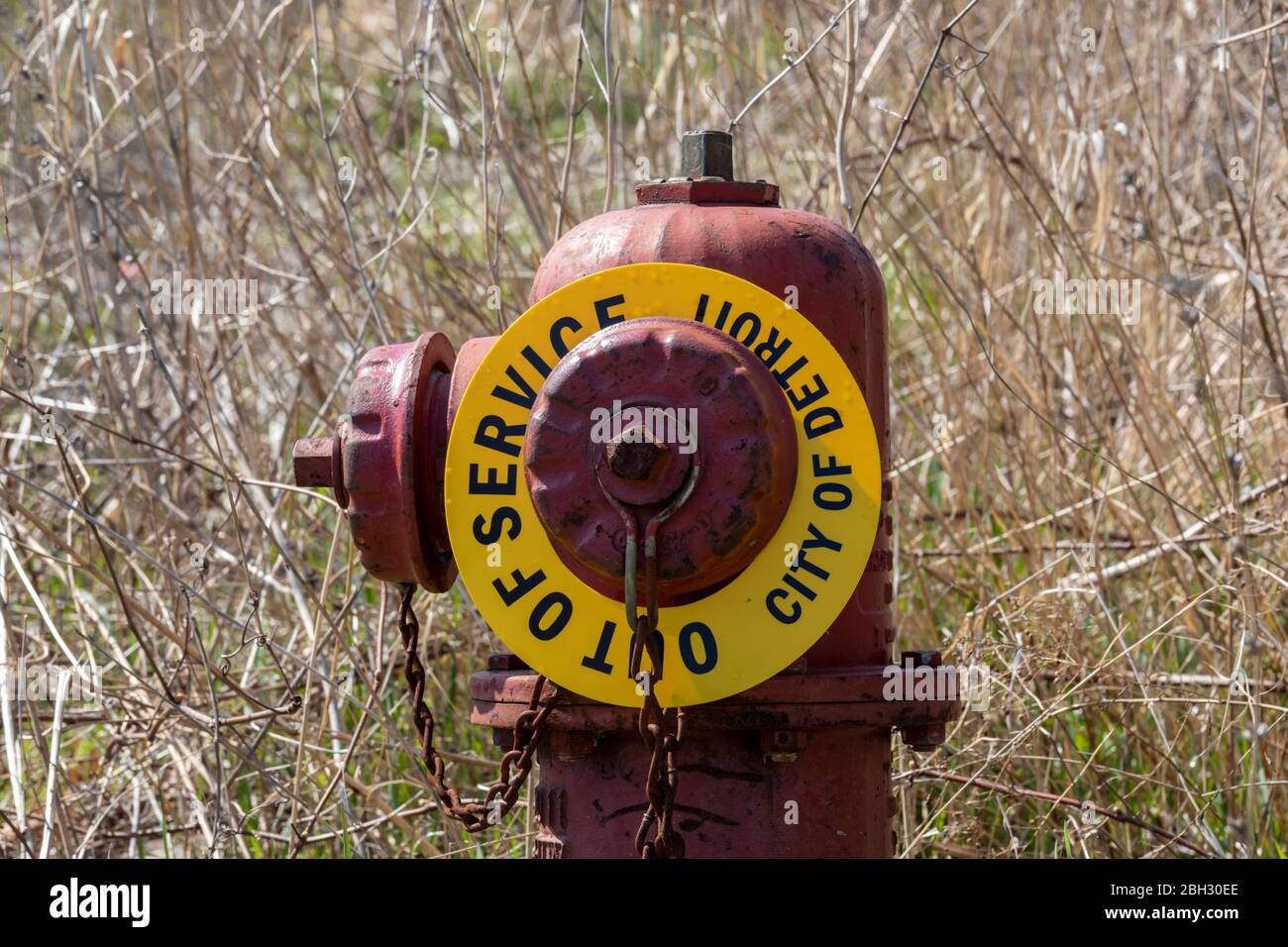 Detroit, Michigan - An out-of-service fire hydrant Stock Photo - Alamy