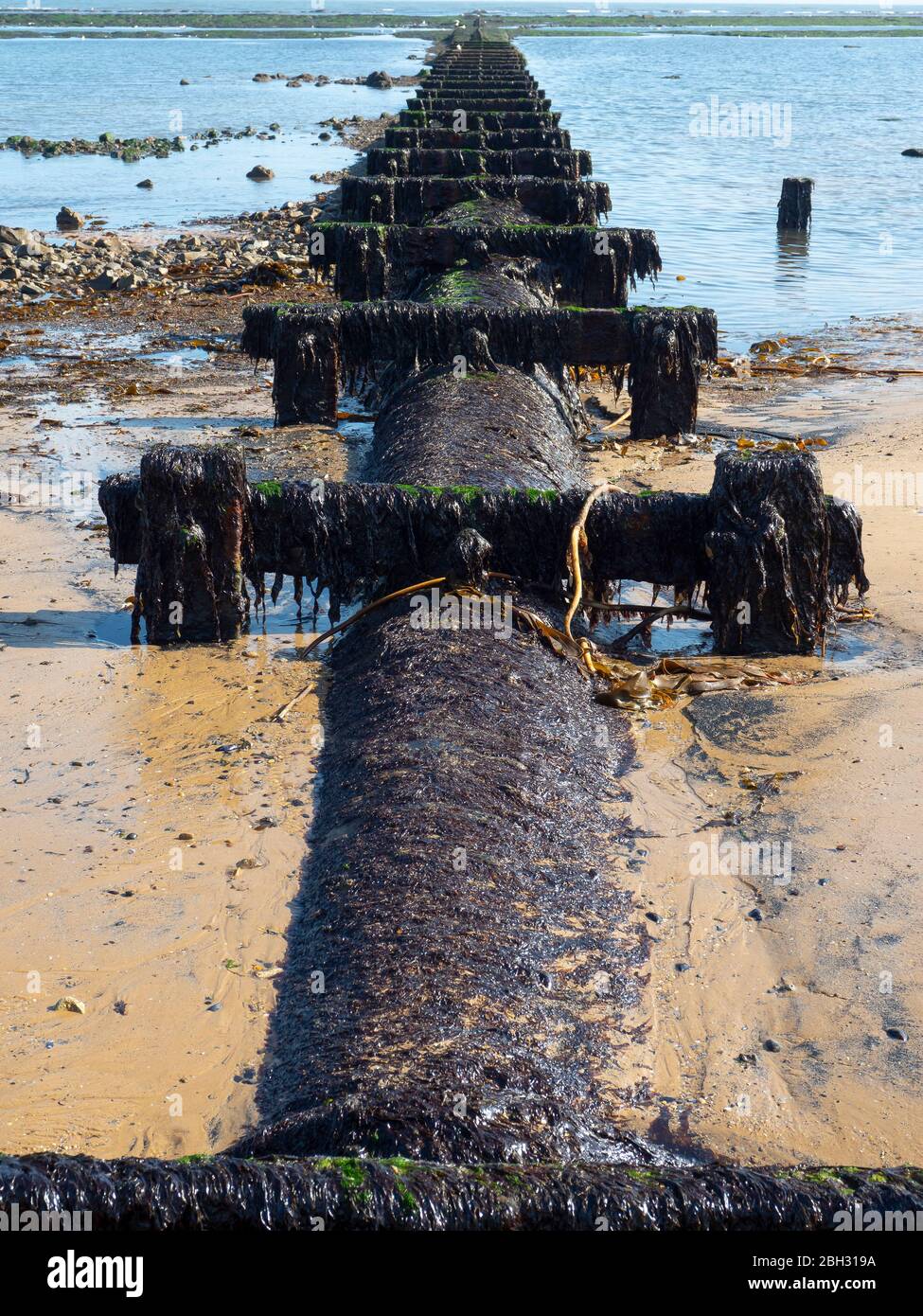 Detail of early 20C sewage or storm water outlet pipe exposed at low ...