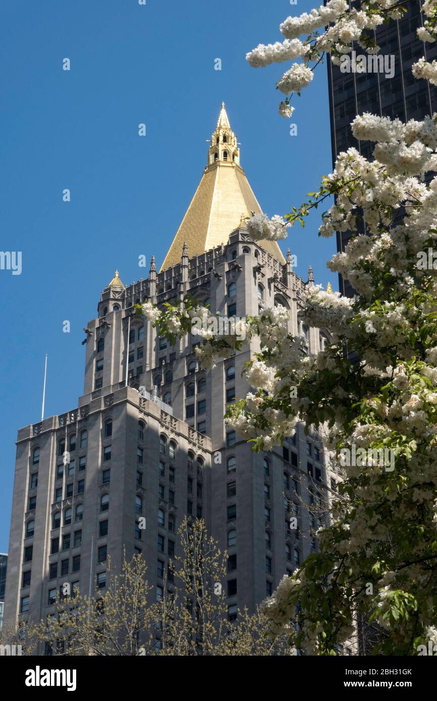 Springtime is beautiful in Madison Square Park, NYC, USA Stock Photo ...
