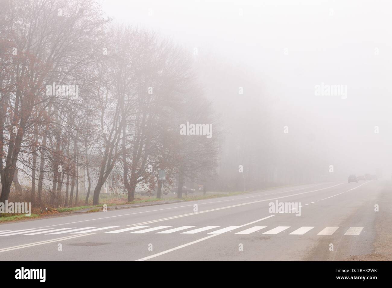 Thick misty fog and crosswalk in road with traffic, danger on the way ...