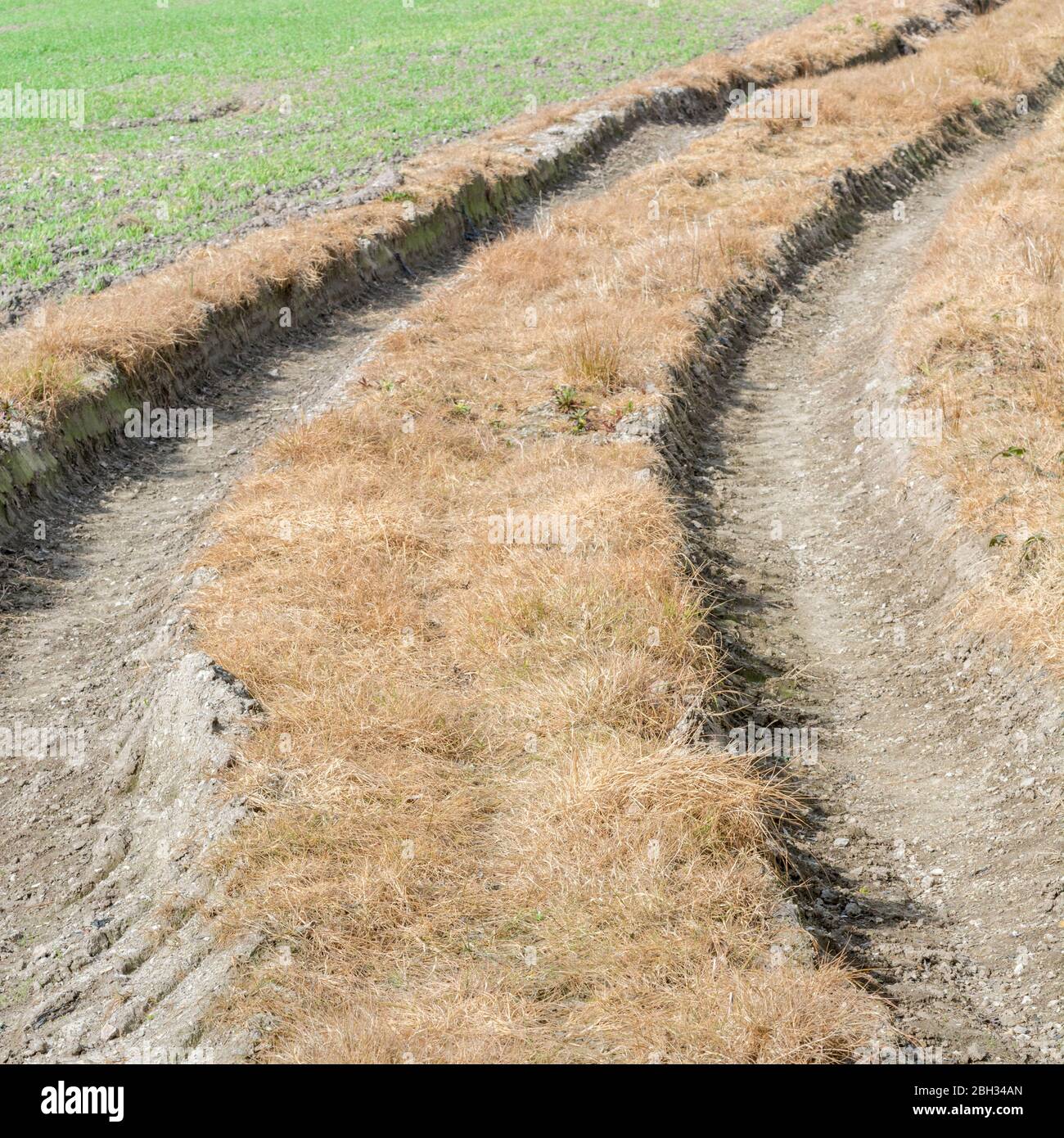 Tractor tire marks grass hi-res stock photography and images - Alamy
