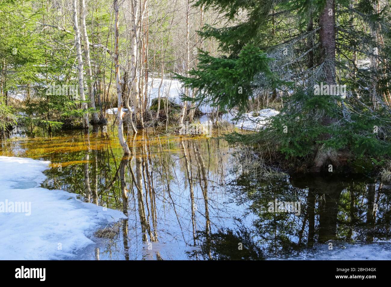 Norwegian spring hi-res stock photography and images - Alamy