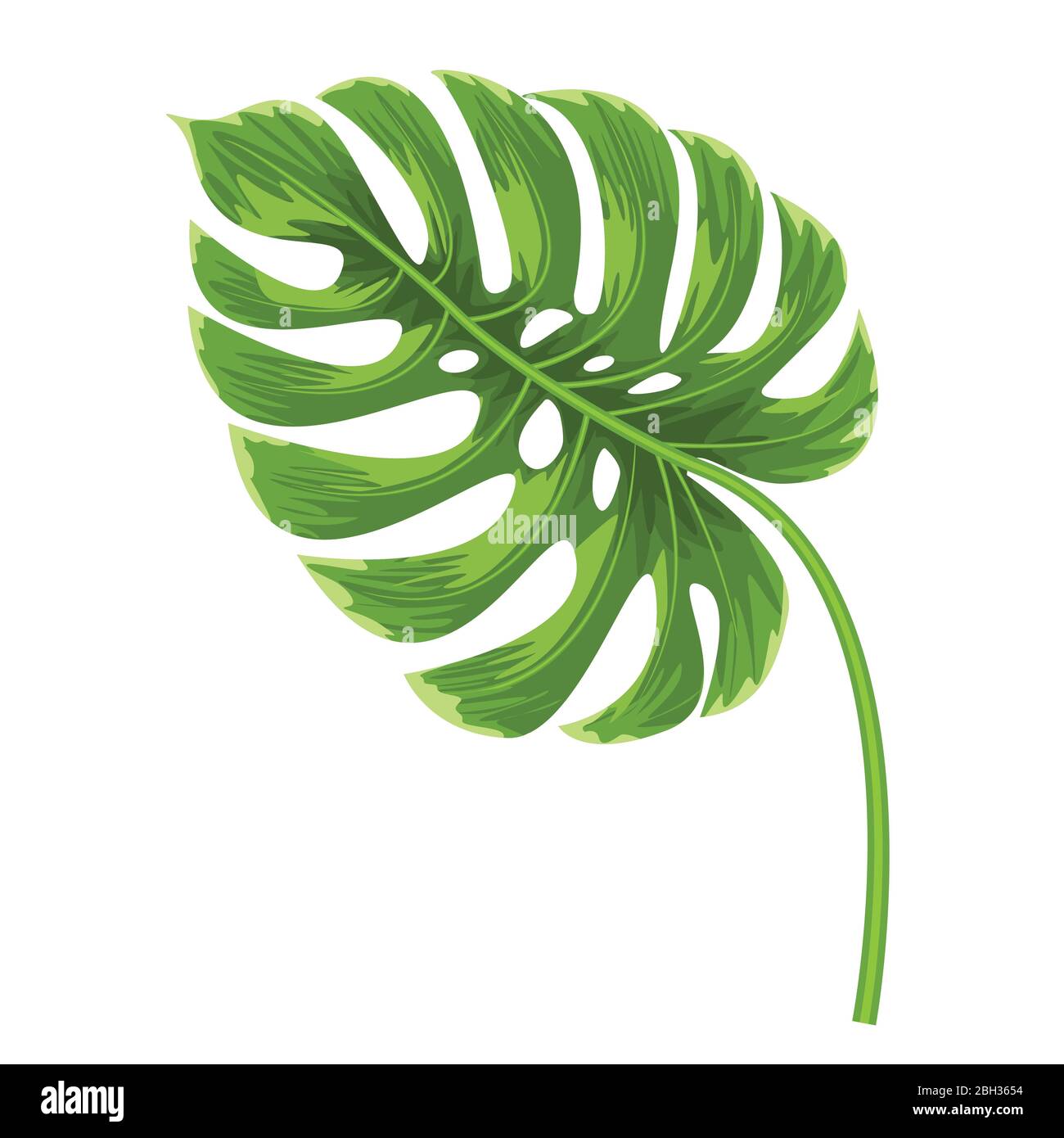 Tropical exotic leaf of monstera tree with watercolor style. Flat color ...