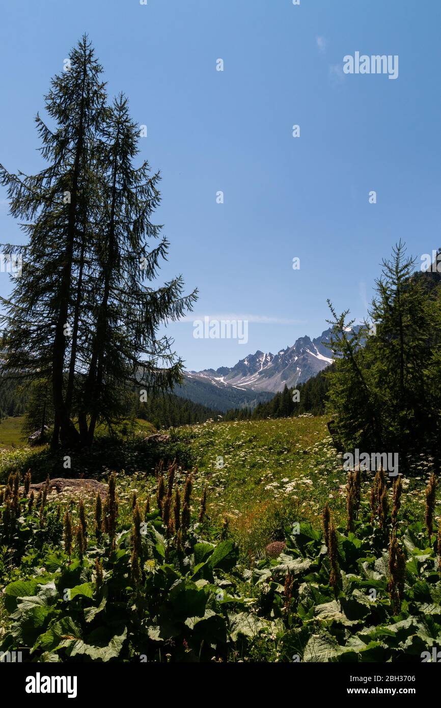 Mountain panoramas at Alpe Devero, Baceno, Lepontine Alps, Ossola ...