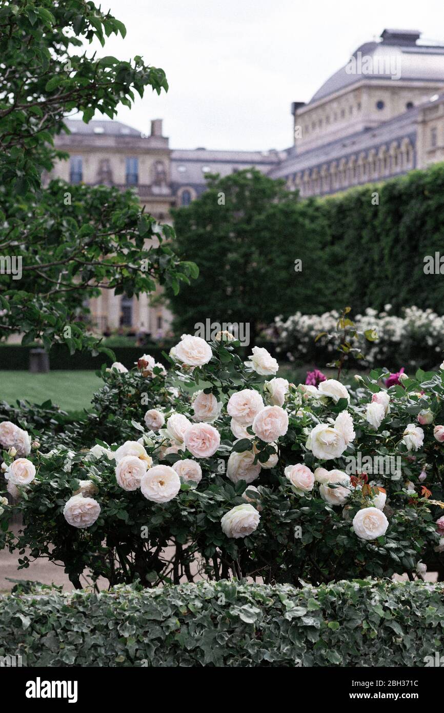 Paris park in spring hi-res stock photography and images - Alamy