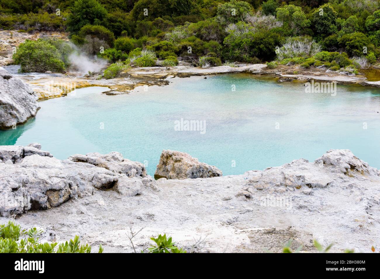 Te Puia Rotorua High Resolution Stock Photography and Images - Alamy