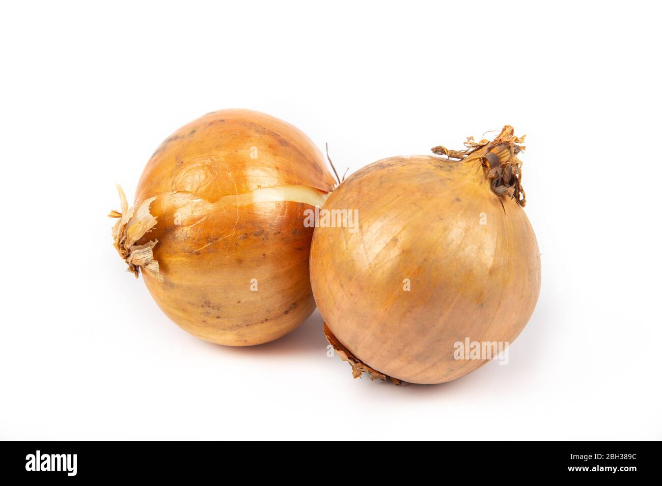 Raw big onion on white background Stock Photo - Alamy