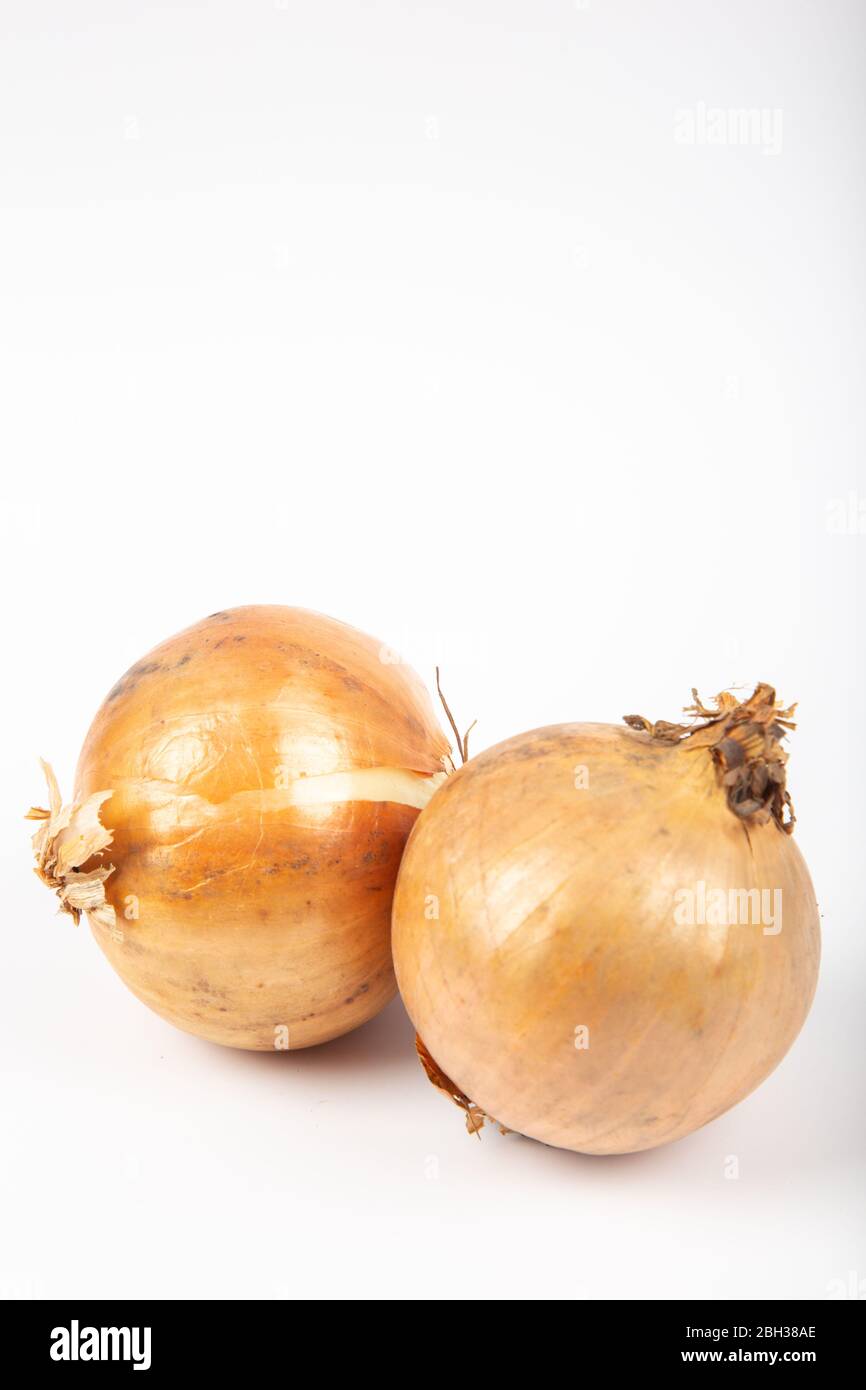 Raw big onion on white background Stock Photo - Alamy