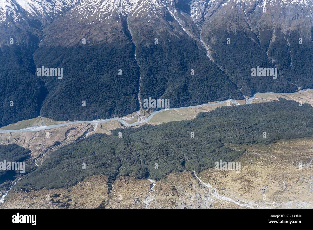 aerial, from a glider, of forest on slopes at Dart river valley, shot ...