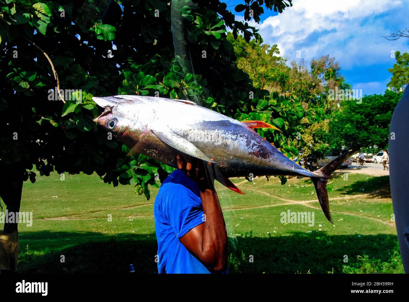 Man carrying big fish to the market Stock Photo - Alamy